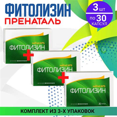 ФИТОЛИЗИН Nefrocaps Нефрокапс 3 шт по 30 капсул КОМПЛЕКТ ИЗ 3х УПАКОВОК купить с доставкой