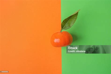 주황색 녹색 색상의 조합에서 대비 배경에 단일 밝은 익은 귤 크리에이 티브 이미지 스타일 열 대 과일 휴가 여름 비치 파티 채식주의 개념입니다 공간 복사 0명에 대한 스톡