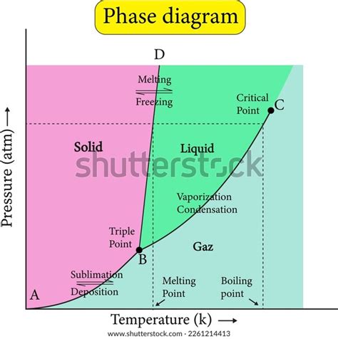 Phase Diagram Represents Various Physical States Stock Vector Royalty Free 2261214413