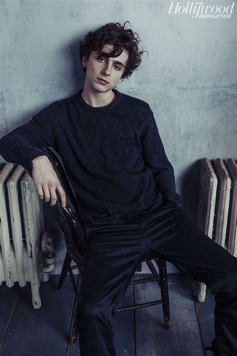 Timothee Chalamet Aesthetic Wallpapers Wallpaper Cave