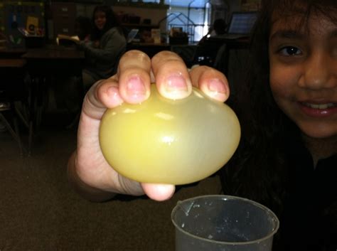 Naked Egg Experiment Egg Experiments Eggs Experiments