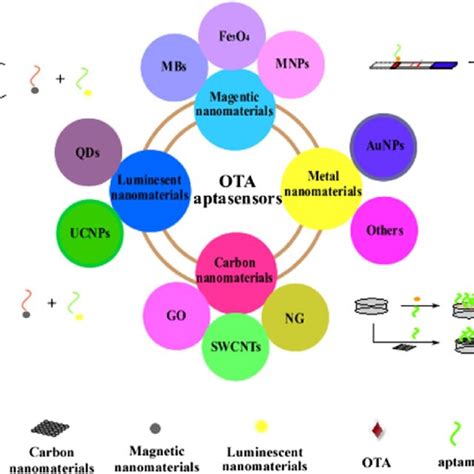 Schematic Illustration For Various Aptasensor Detection Strategies For Download Scientific