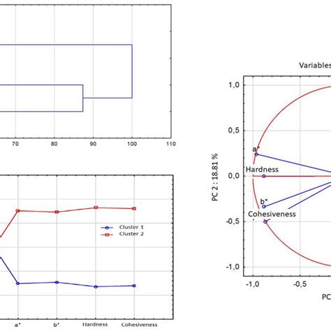 Multivariate Analysis Cluster Analysis Ca And Principal Component