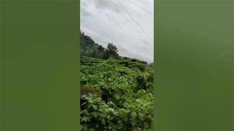 Kumuli To Vaganan Youtube