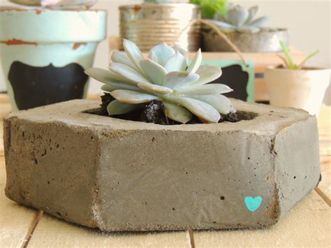 Diy Macetas De Cemento Con Suculentas