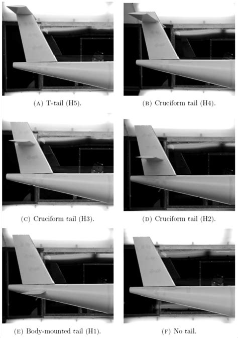 Horizontal Tail Positions Download Scientific Diagram