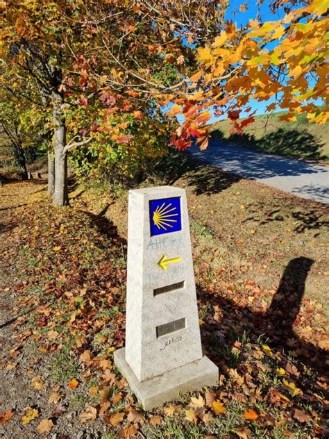 산티아고순례길 갈 예정인 사람은 보세요 꿀팁 준비물 쎄요 네이버 블로그