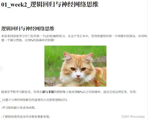 自学 吴恩达深度学习week2 识别小猫思路整理吴恩达识别猫 Csdn博客