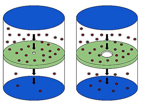 Diagram Diffusion Vs Effusion Explained