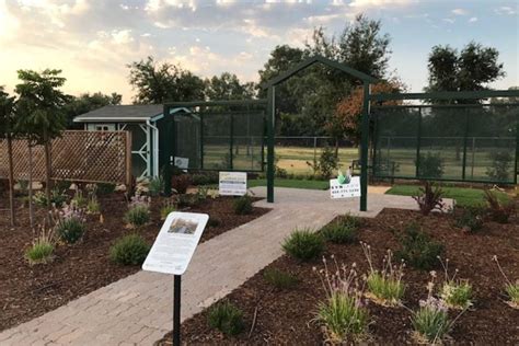 4th Quarter 2021 News At The Garden · Clovis Botanical Garden