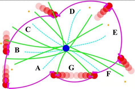 Visualization Of Gaps And Trajectories Generated By Dynamic Gap The Download Scientific
