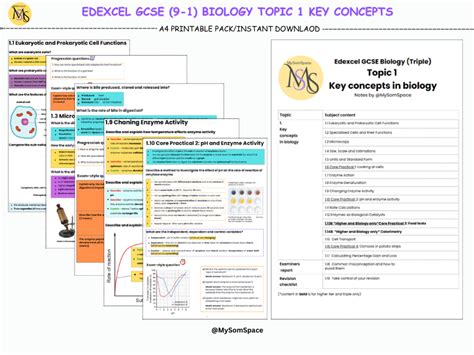 Edexcel Gcse 9 1 Topic 1 Key Concepts In Biology Mark Scheme Style Revision Notes Teaching