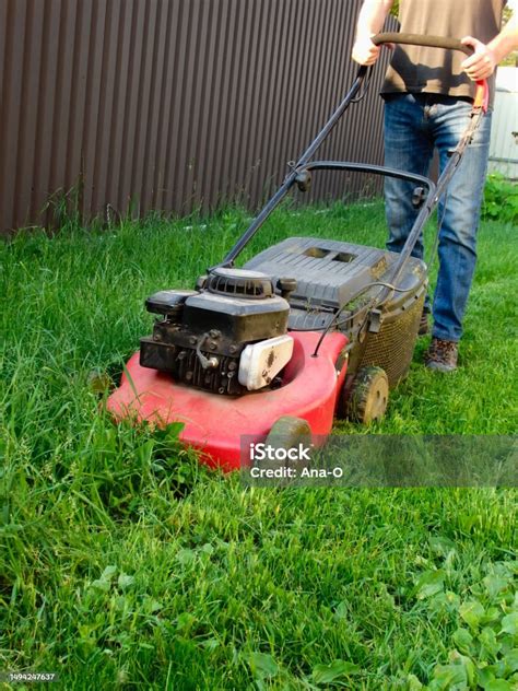 잔디 깎기 한 남자가 해질녘에 잔디 깎는 기계로 푸른 잔디를 깎습니다 여름철에 잔디 깎는 기계와 잔디 깎는 일을 하는 백인 정원사 과로에 대한 스톡 사진 및 기타 이미지