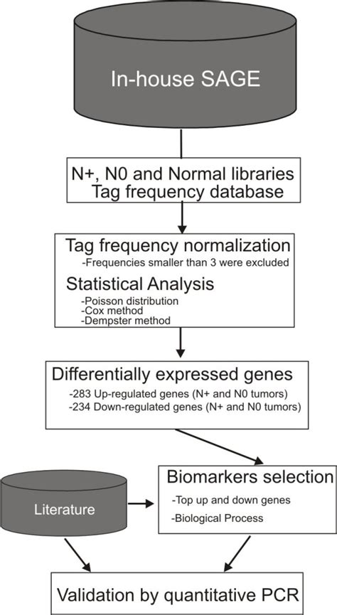 Fluxogram Showing The Strategy Used In Sage Data Analysis Download