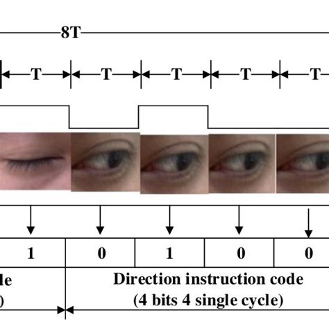 Binary Encoding And Human Eye Action Instruction Download Scientific