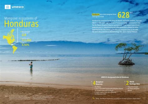 Mangrove Ecosystems Of Honduras
