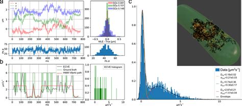 Tracking Simulation In An E Coli Like Geometry Example Trajectory With Download Scientific