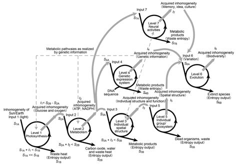 Entropy Special Issue Concepts Of Entropy And Their Applications