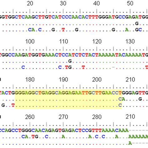 sequence alignment of one recombined alu element and two prerecombined