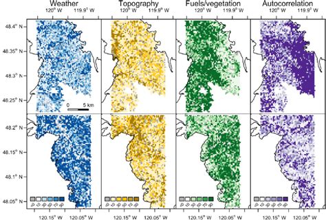 Local Importance Of Predictor Variable Groups For Random Forest Models