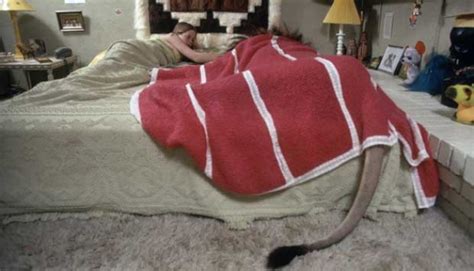 Melanie Griffith Dan Neil Singa Peliharaannya Tempo Co