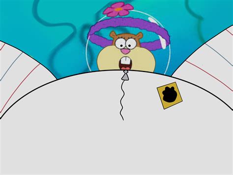 Spongebob Squarepants Sandy Cheeks Inflation