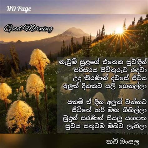 සුභ උදෑසනක් Hd Page කවි මංසල