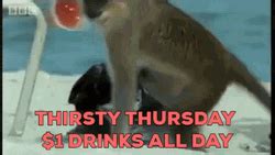 Classic Classy Women Thirsty Thursday  652×500 Thirsty Thursday