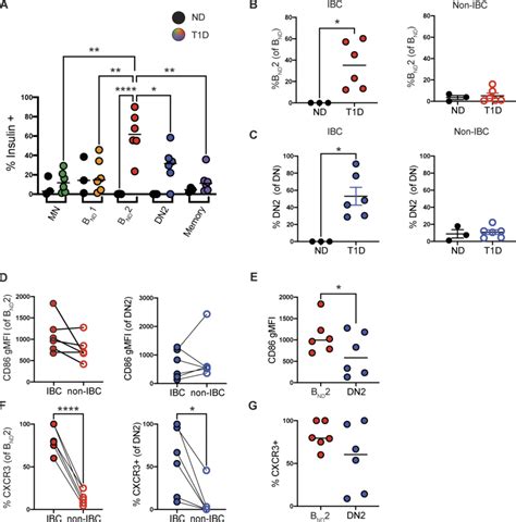 Insulin Binding B Nd 2 Cells Are Increased In The Pln Of T1d Donors And
