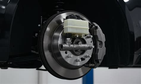 Chroococcus Characteristics Classification And Diagram Rajus Biology