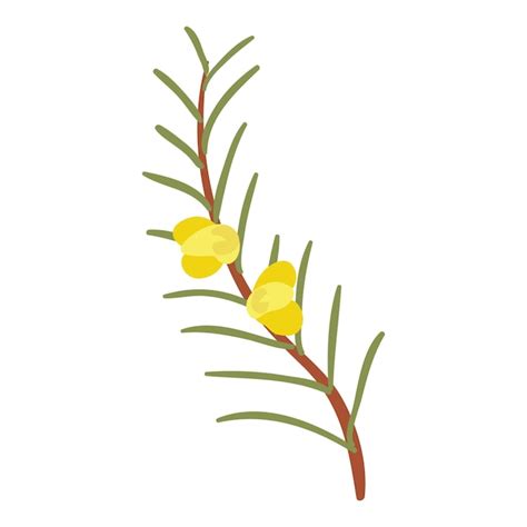 Premium Vector Flowering Branch Icon Isometric Vector Branch Shrub Or Tree With Yellow Flower