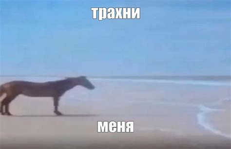 Meme трахни меня All Templates Meme