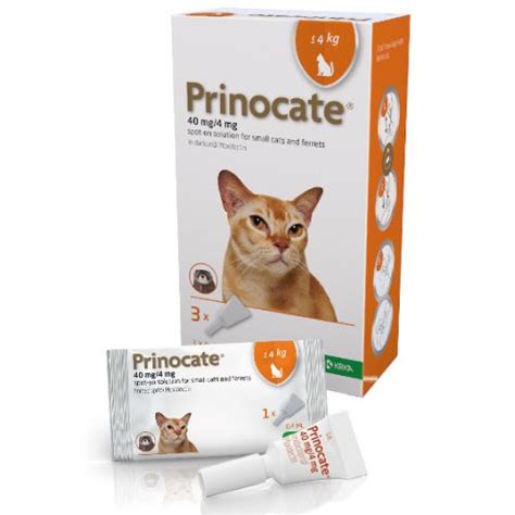 Prinocate Spot On For Cats And Ferrets 404mg And 808mg Prescription R