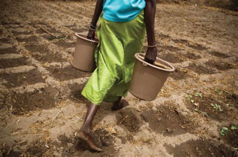 New Fao Report The Aquacrop Model Un Water