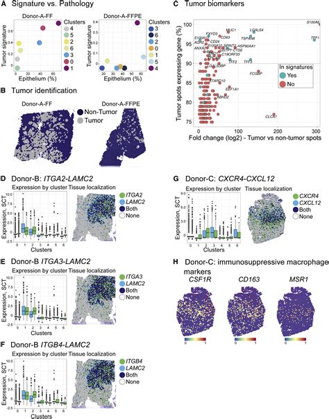 Assessment Of Spatial Transcriptomics For Oncology Discovery Cell Reports Methods
