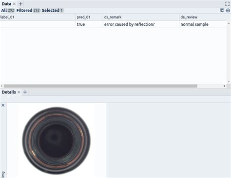 Building Robust Visual Inspection Models Using Amazon Lookout For Vision Renumics GmbH
