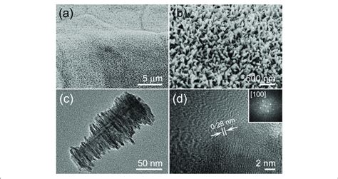 A Low And B Enlarged Sem Photos Of Mno 2 Nanoarrays C Tem
