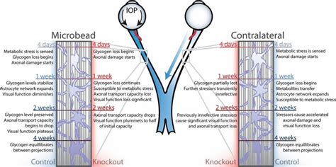 Protecting Sight 183 Turn Get Togethers Into Transformative Gatherings Iris Hooks Vs The