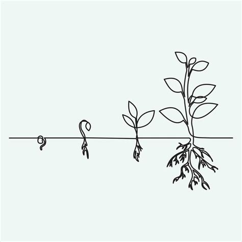 Continuous Line Hand Drawing Vector Illustration Tree Art 36362171 Vector Art At Vecteezy