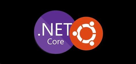 Tecmint Linux Howtos Guide On Linkedin How To Install Net Sdk Or