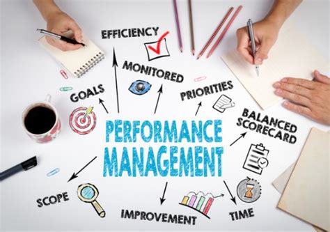 Understanding Performance Management Social Enterprise Kent CIC