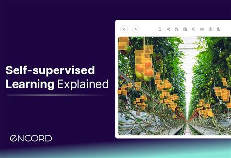 The Complete Guide To Self Supervised Learning Encord
