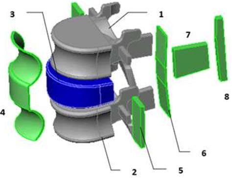Figure 1 From Solid State 3d Models Of Lumbar Vertebral Segments