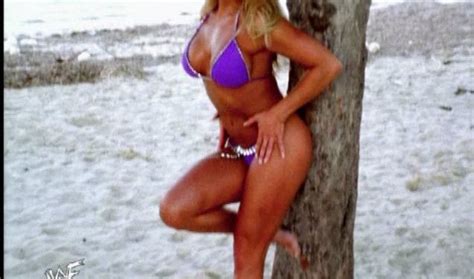 Trish Stratus Nude Porn Pictures Xxx Photos Sex Images 4081820 Page 8 Pictoa Trish Stratus Nude Porn Pictures Xxx Photos Sex Images 4081820 Page 8 Pictoa