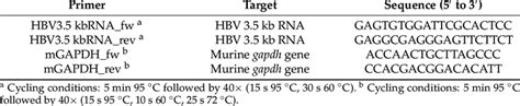 Primers To Quantify Hbv Pgrna Download Scientific Diagram