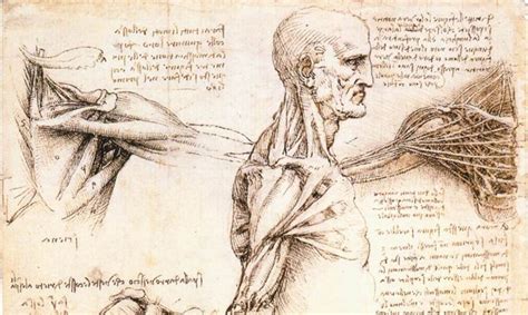 Anatomy Professor Uses 500 Year Old Da Vinci Drawings To Guide Cadaver