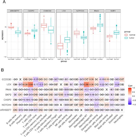 Association Between Immune Infiltration And Args Signatures Athe Box