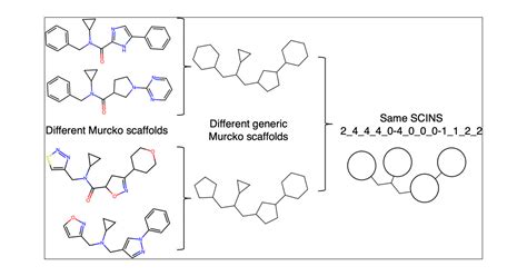 An Open Source Implementation Of The Scaffold Identification And Naming System Scins And