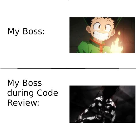 he said my code looked inbred r programmeranimemes
