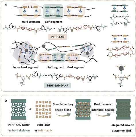 Elaboration Of The Integrated Auxetic Elastomer Iae A Chemical